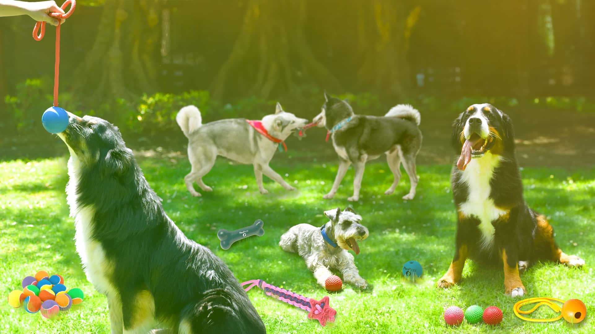 Grupo 201 – Making Play Possible